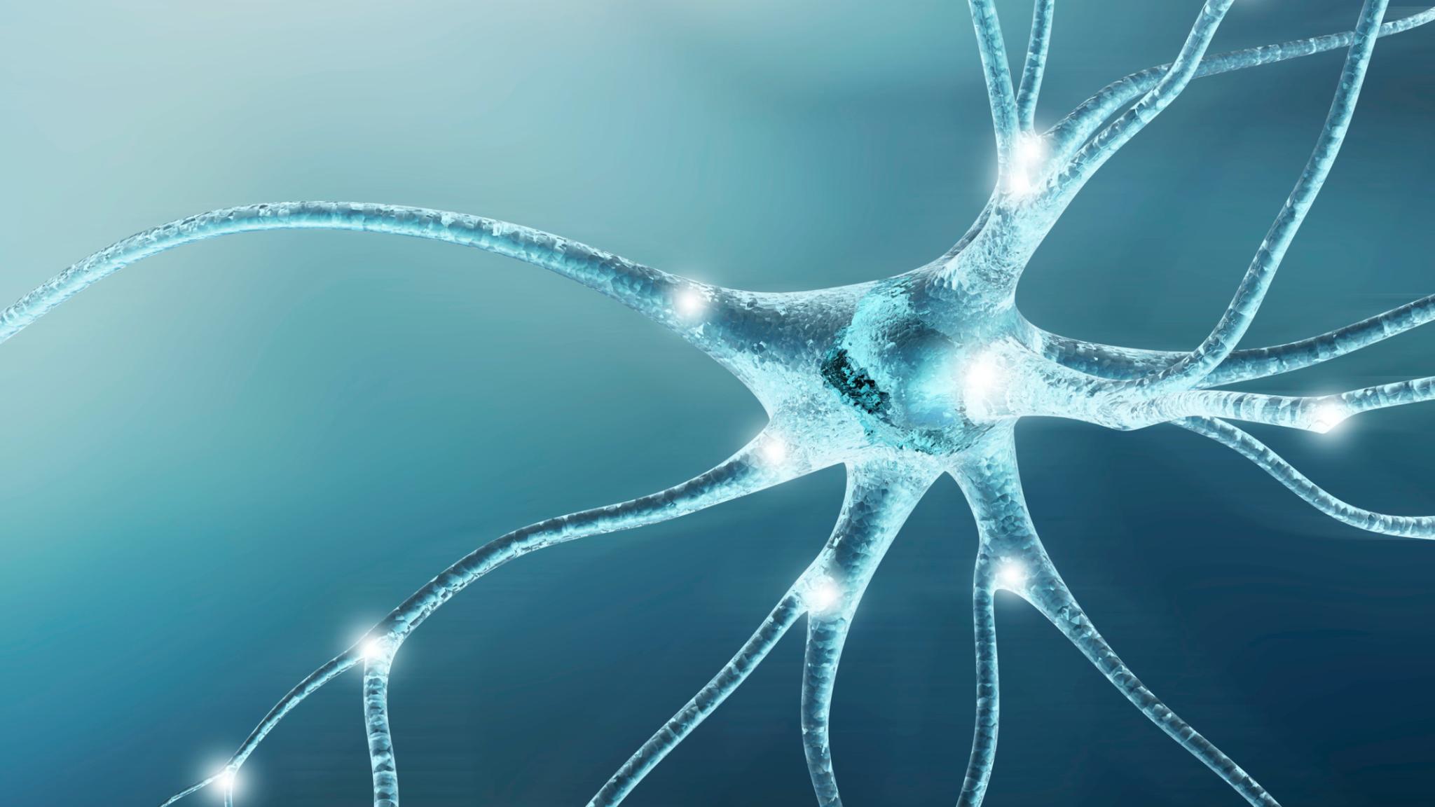 Nerve Blocks: How They Work for Pain Relief - Principal Spine